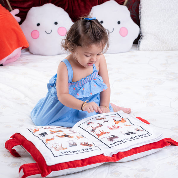 Baby Learning Cushion Pillow Book – shopbyte